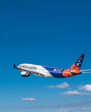 Agency Debit Memo Policy | Aircalin